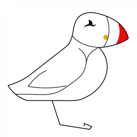 The Story Behind Social Puffin… - Social Puffin